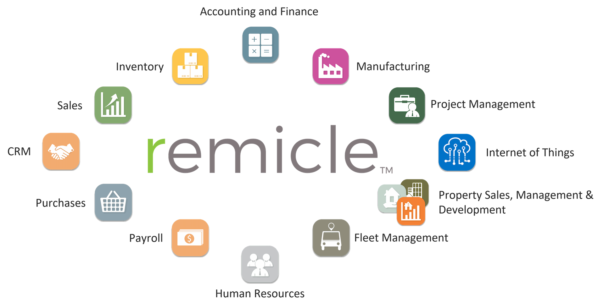 Remicle the ultimate digitalization remedy